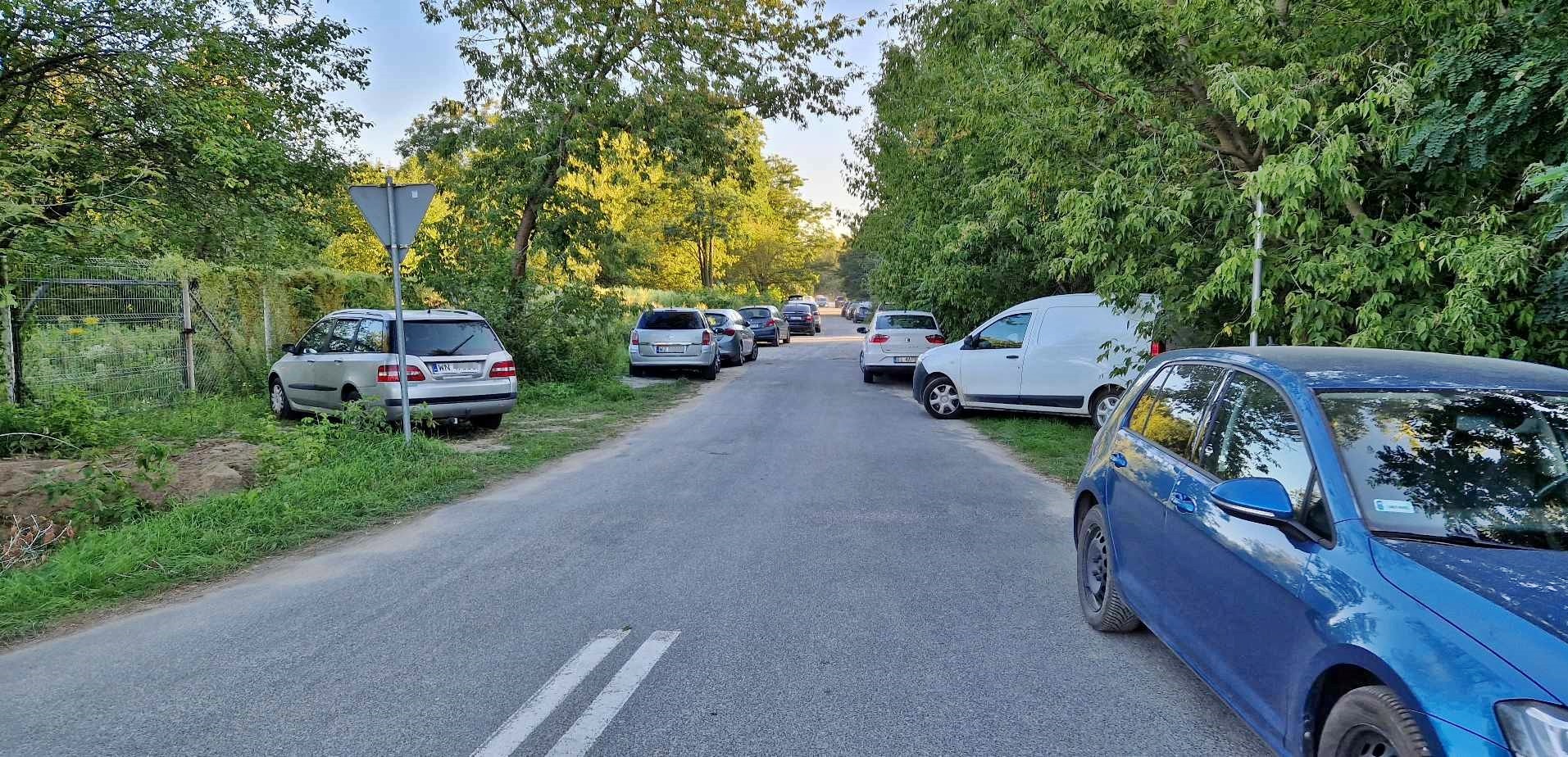 Dzikie brzegi, dziki relaks. Plażowanie nad rzeką Świder i jeziorem Rokola